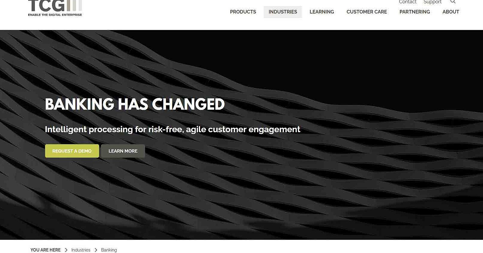 TCG Process: Unify your banking processes under a smart digital roof